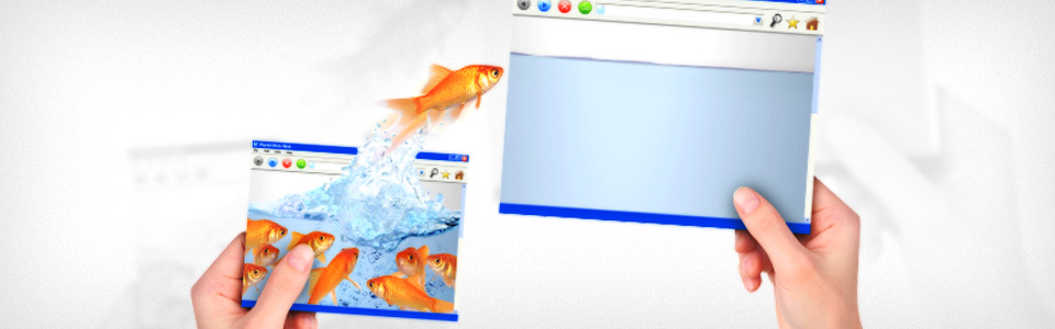 Webdevelopment Custom Developed Webapplications 3130